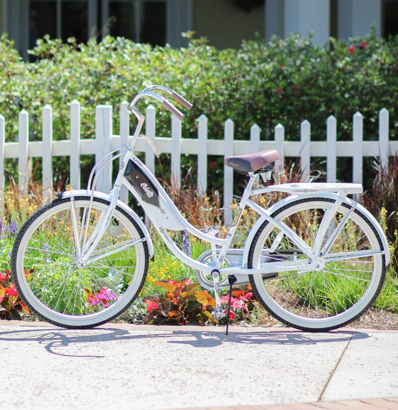 Spring Bike Ride in The Park - Ashley Brooke Nicholas